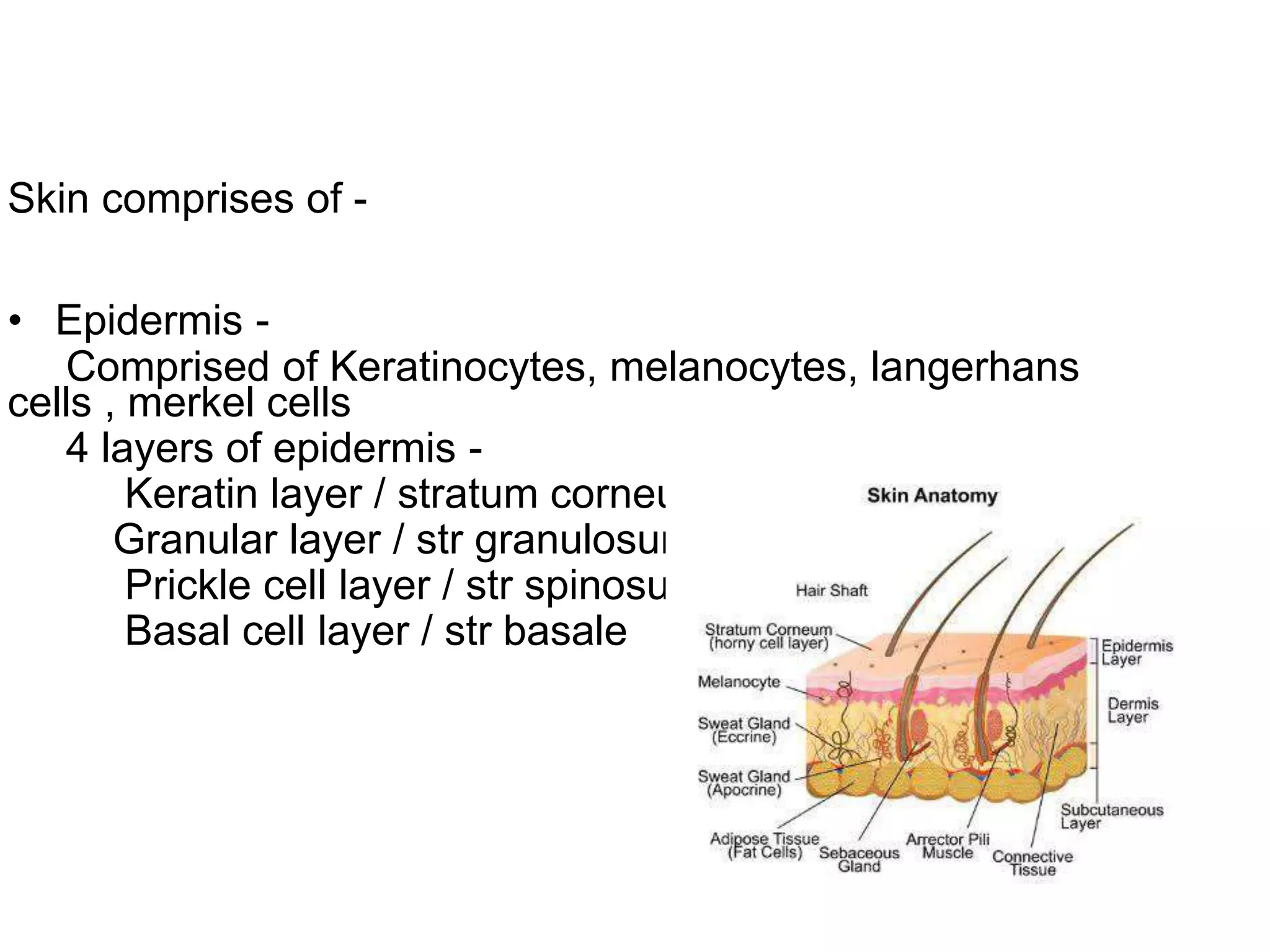 Lid Pathologies.pptx