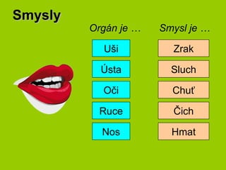 Lidske telo | PPT