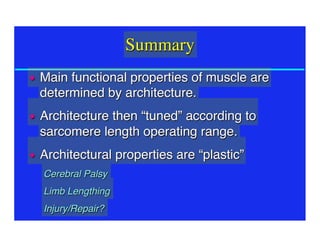 Richard L. Lieber | PPT