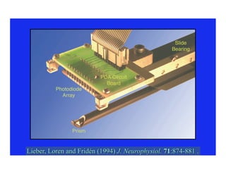 Richard L. Lieber | PPT