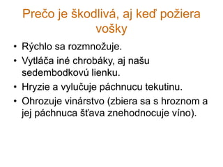 Lienka.ppt