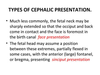 Lie, presentation, attitude, and position | PPT
