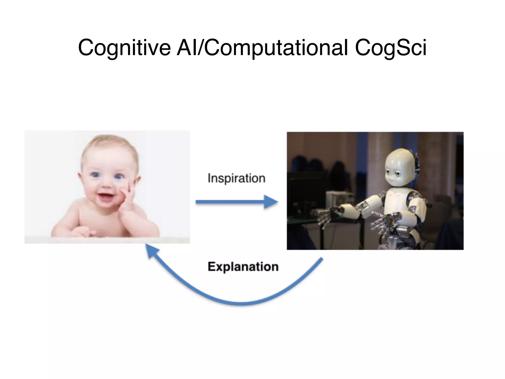 Functional And Structural Models Of Commonsense Reasoning In Cognitive