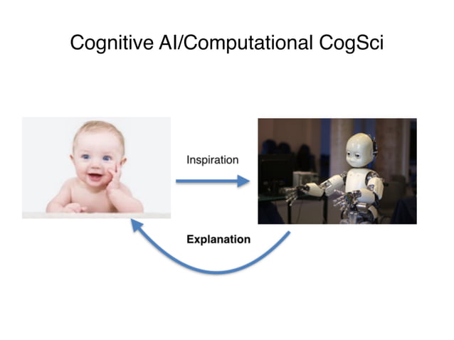 Functional and Structural Models of Commonsense Reasoning in Cognitive ...