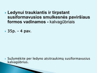 Lietuvos reljefo formos | PDF