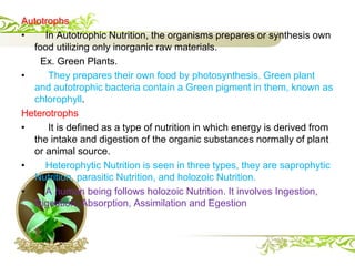 ppt on life process | PPT