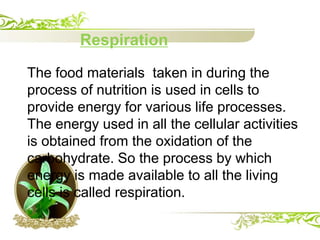 ppt on life process | PPTX
