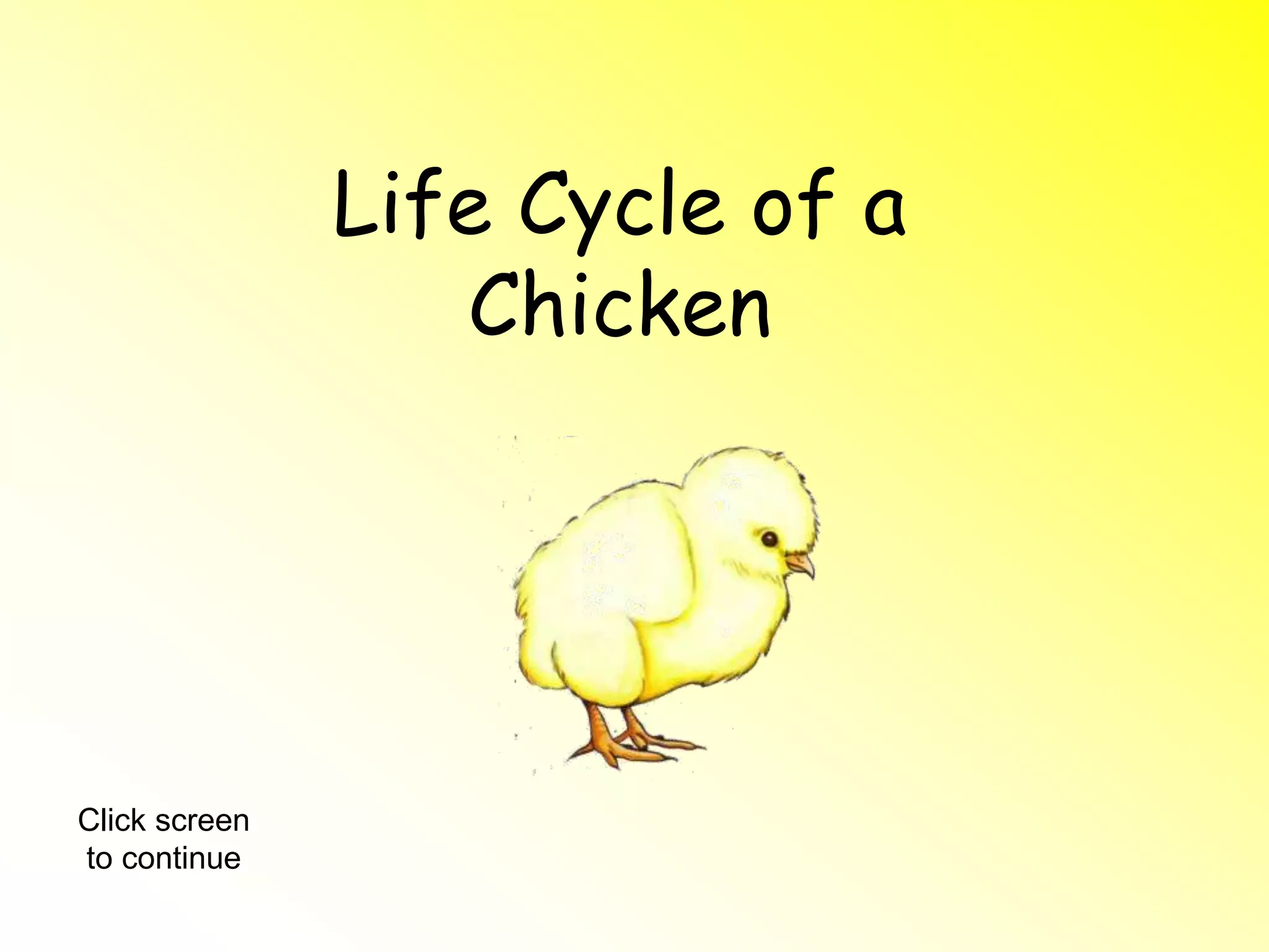 Life cycle-of a hen | PPSX