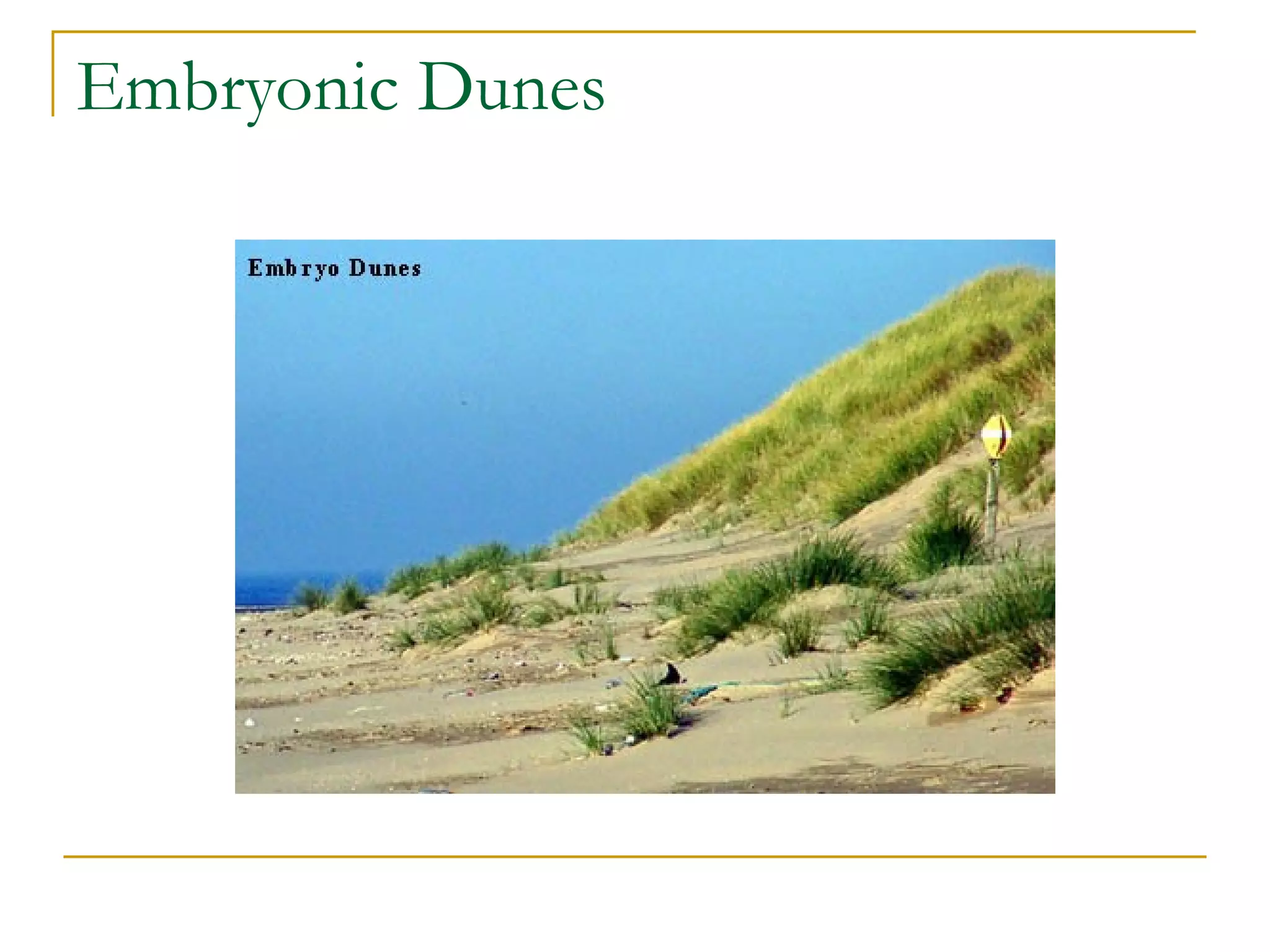 Life Cycle Of A Sand Dune | PPT