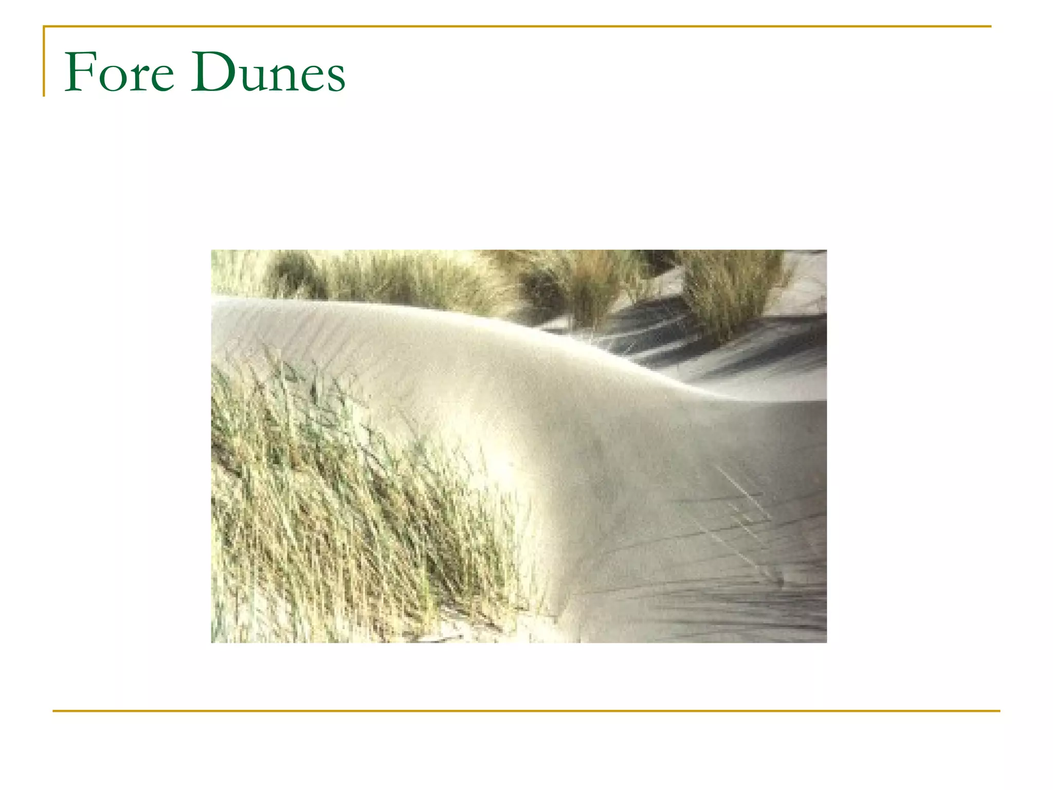 Life Cycle Of A Sand Dune | PPT | Geology | Science