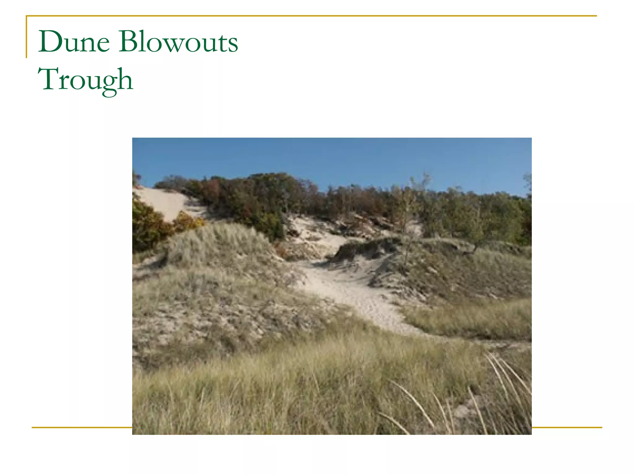 Life Cycle Of A Sand Dune | PPT