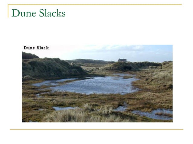 Life Cycle Of A Sand Dune | PPT
