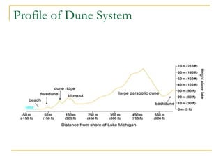 Life Cycle Of A Sand Dune | PPT | Geology | Science