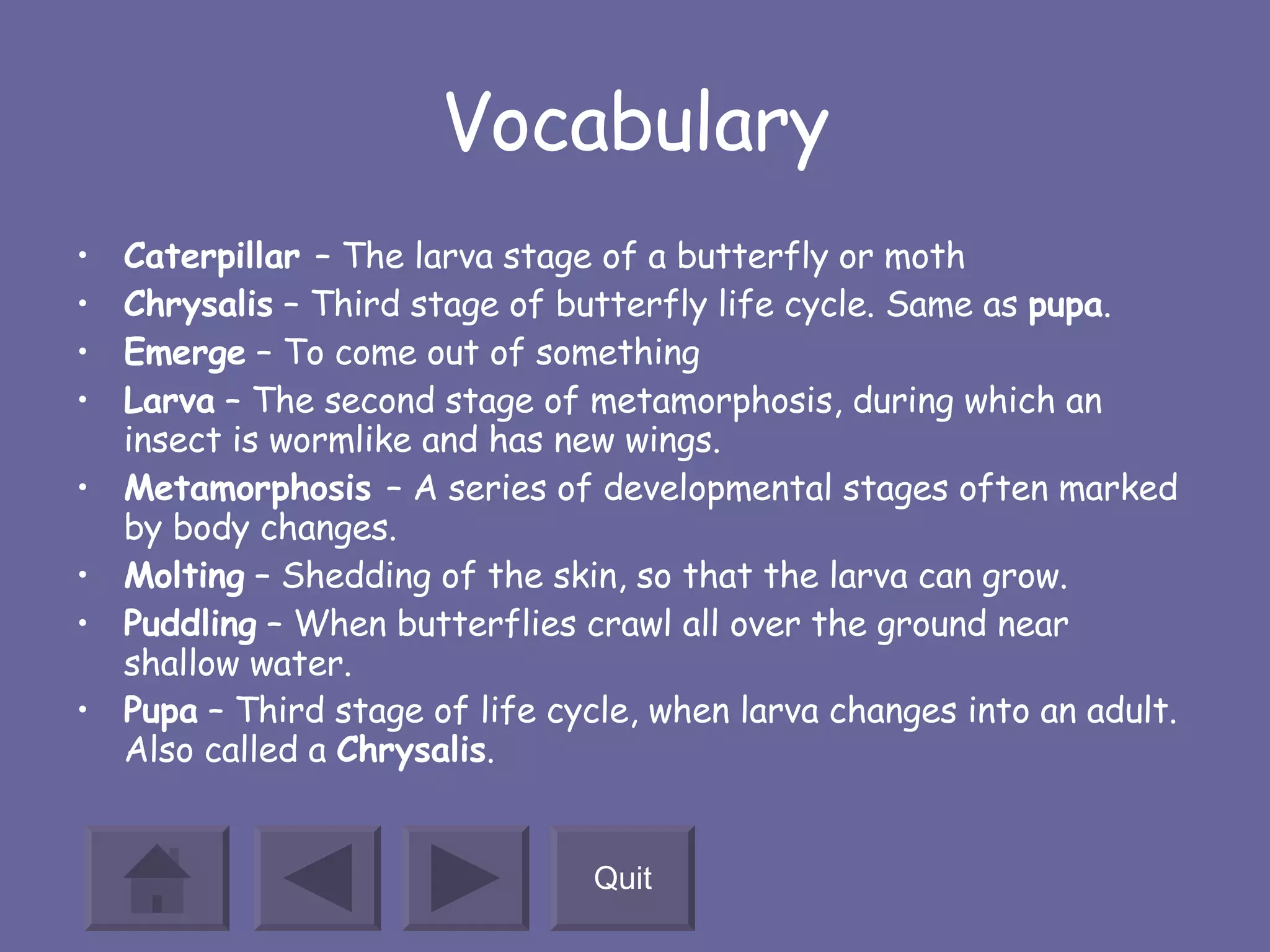 Life Cycle Of The Butterfly | PPT