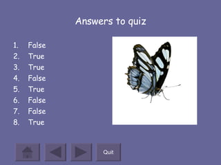 Life Cycle Of The Butterfly | PPT