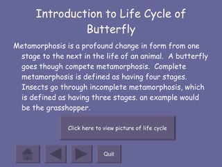 Life Cycle Of The Butterfly | PPT