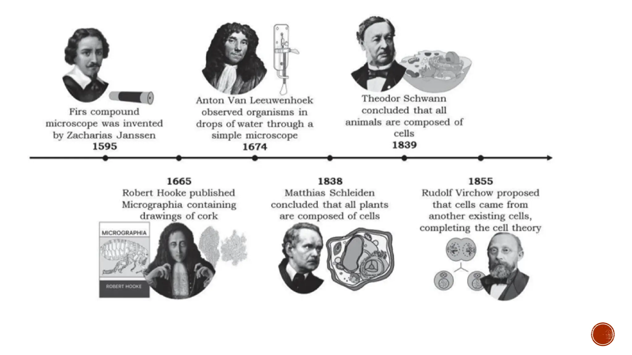 LIFE-IN-A-CELL. Cell Theory, History of cell biology | PPTX