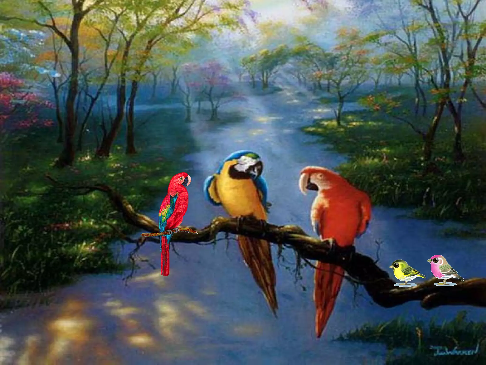 Life Of Parrots | PPS | Family/Children | Genres