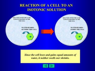 Life of the Cell | PPT