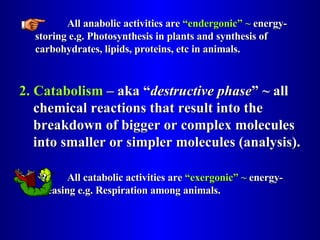 Life of the Cell | PPT