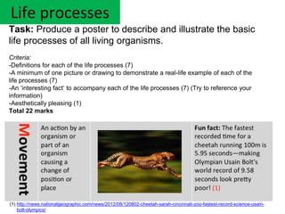 Life processes | PPTX