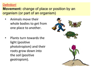 Life processes | PPTX