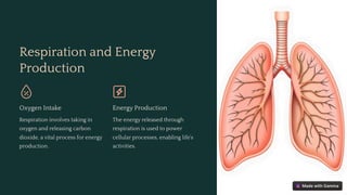 Life-Processes-A-Comprehensive-Overview.pdf