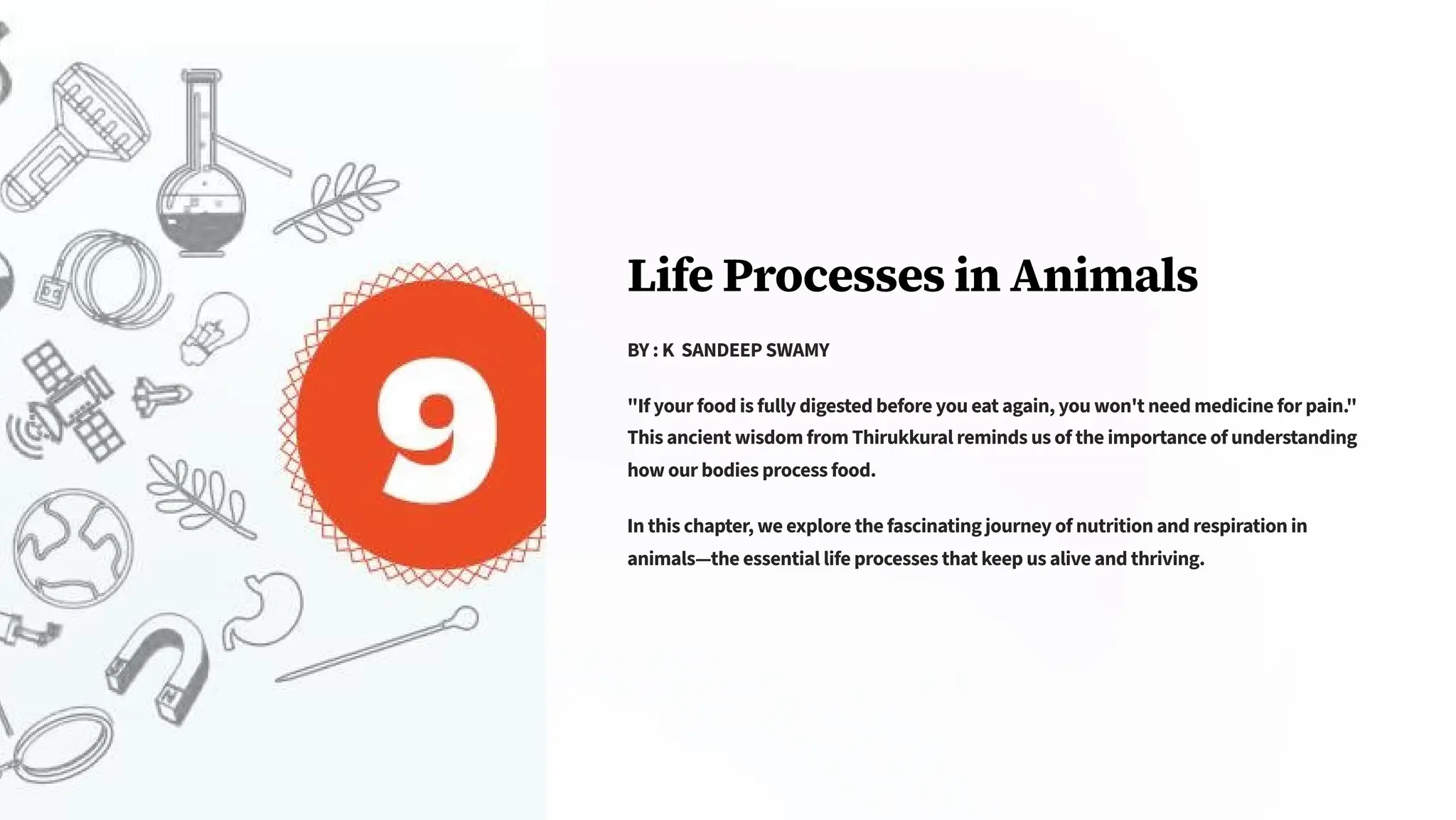 Life-Processes-in-Animals PPT/7TH CLASS NEW NCERT /CURIOSITY SCIENCE ...