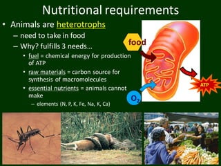 Life-Science-ppt in animals veterinary.pdf