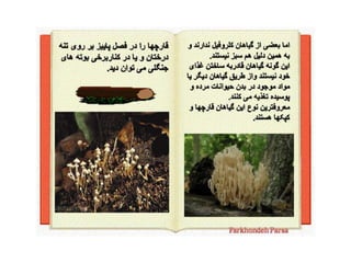 Life without light-1 | PPT