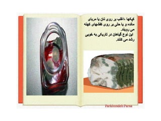 Life without light-1 | PPT