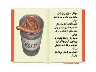 Life without light-1 | PPT