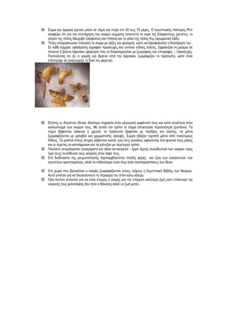 Lifeafterdeath | PDF