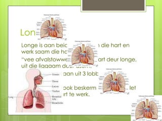 science overview | PPTX