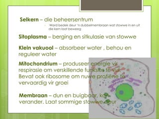 science overview | PPTX