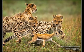 Life Around Us | PPT