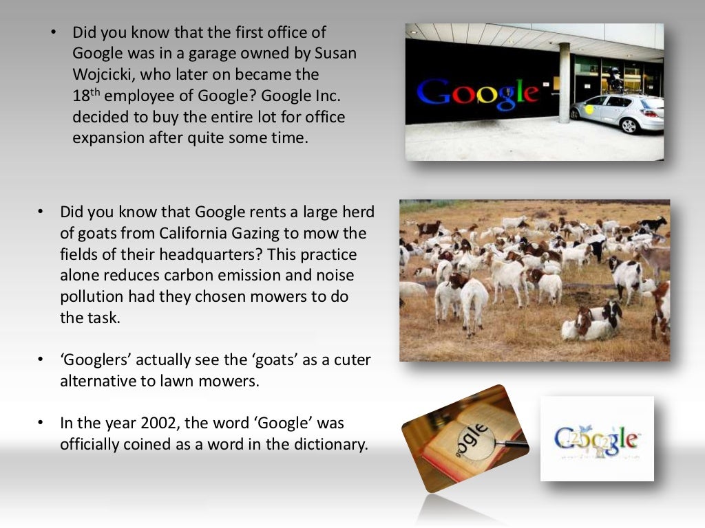 Life before and during google