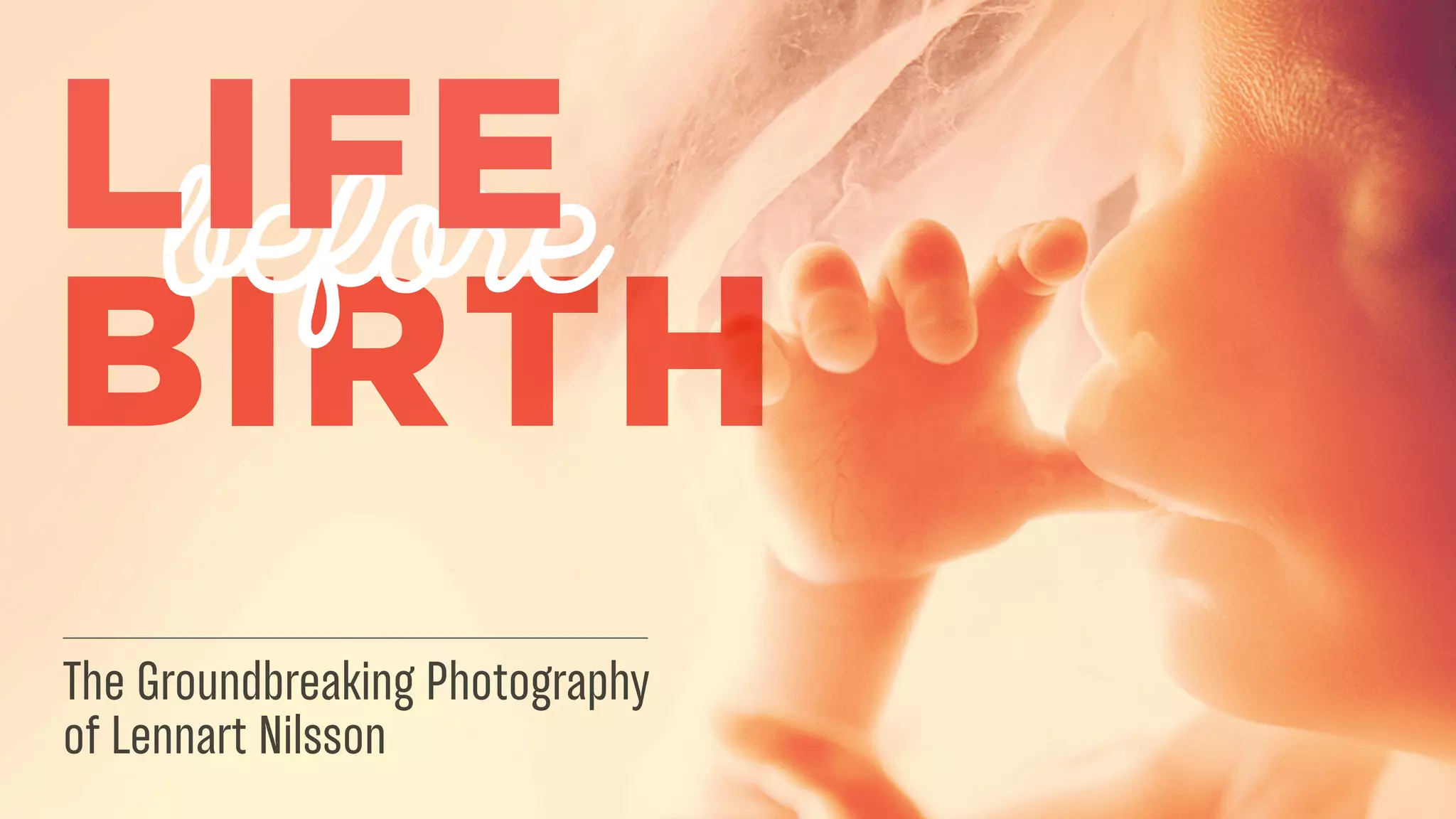 Lennart Nilsson: Life Before Birth | PPT