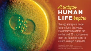 Lennart Nilsson: Life Before Birth | PPT