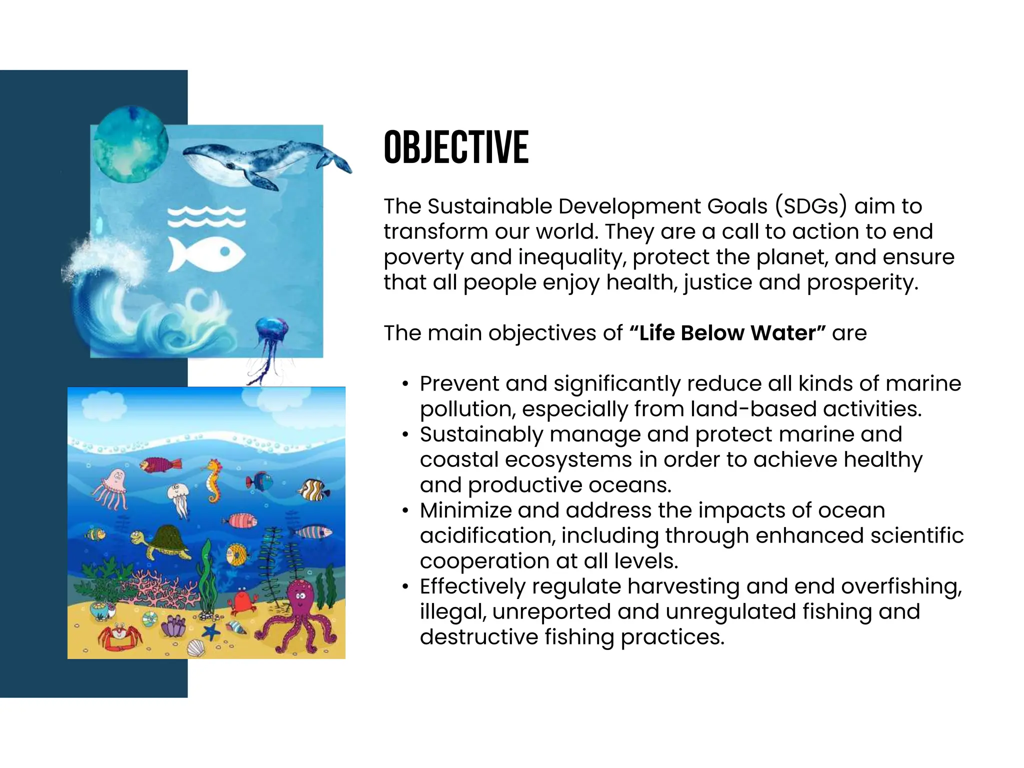 Life Below Water.pptx