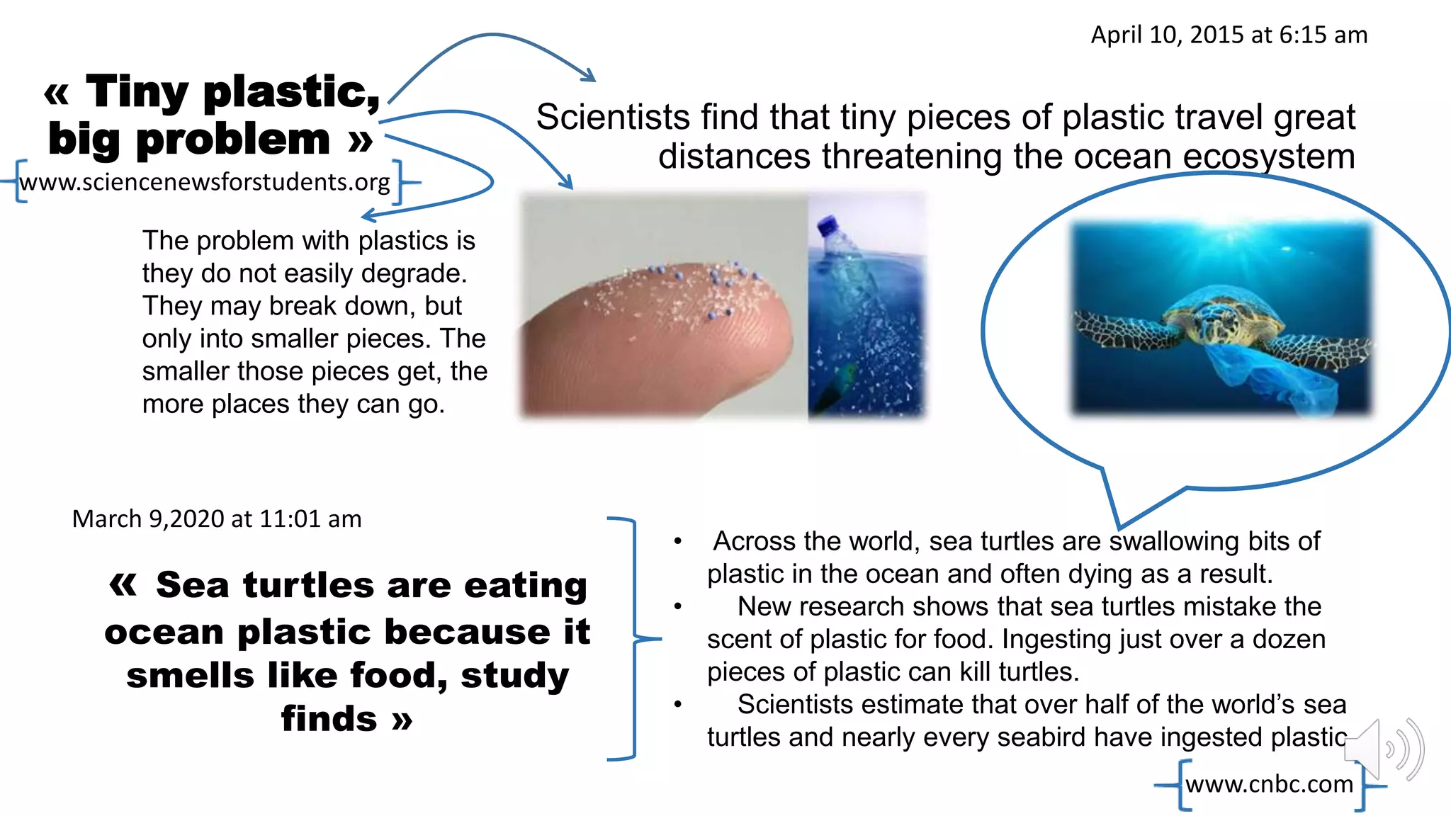 Life below water(goal 14). baruzzi elisa | PPTX