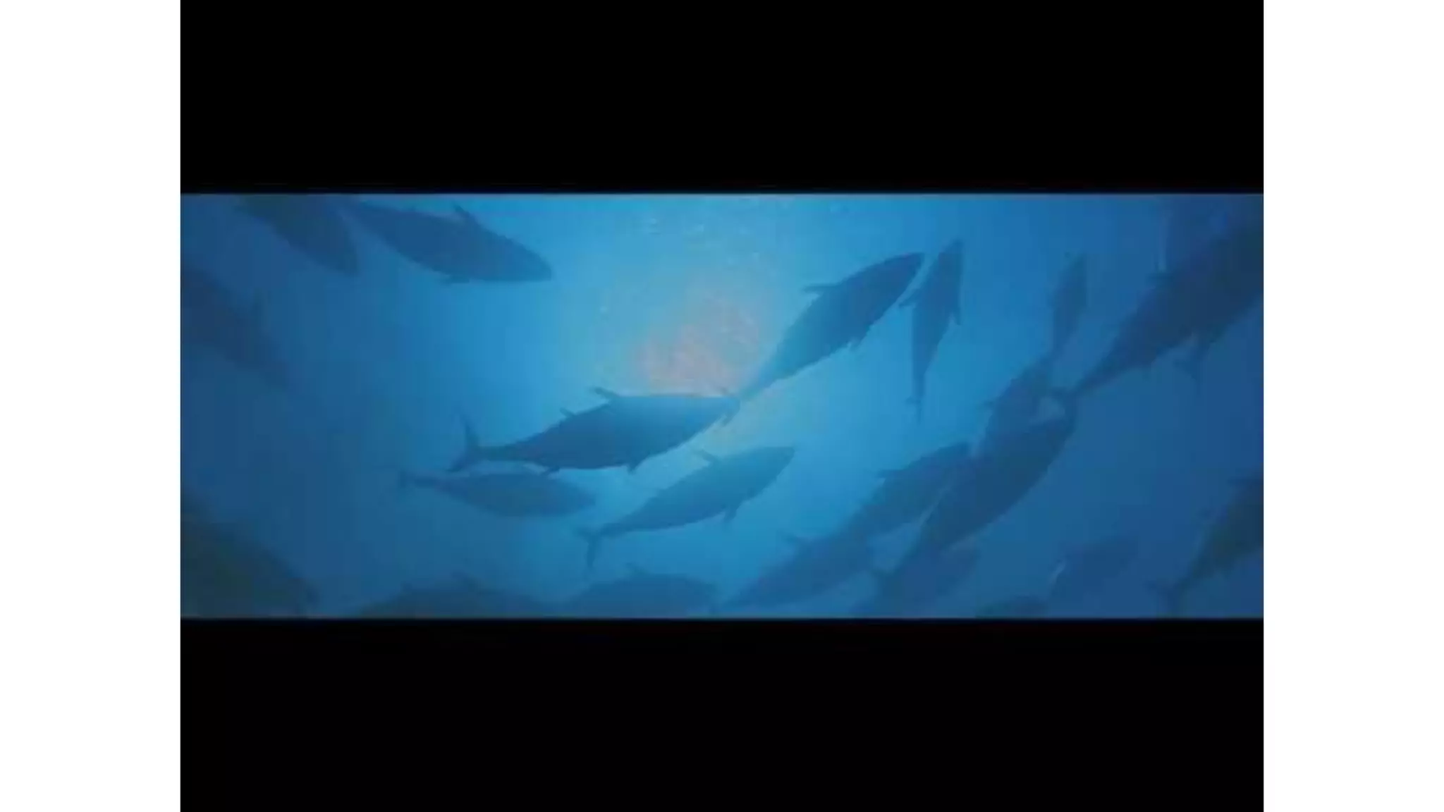 Life below water - presentation | PDF