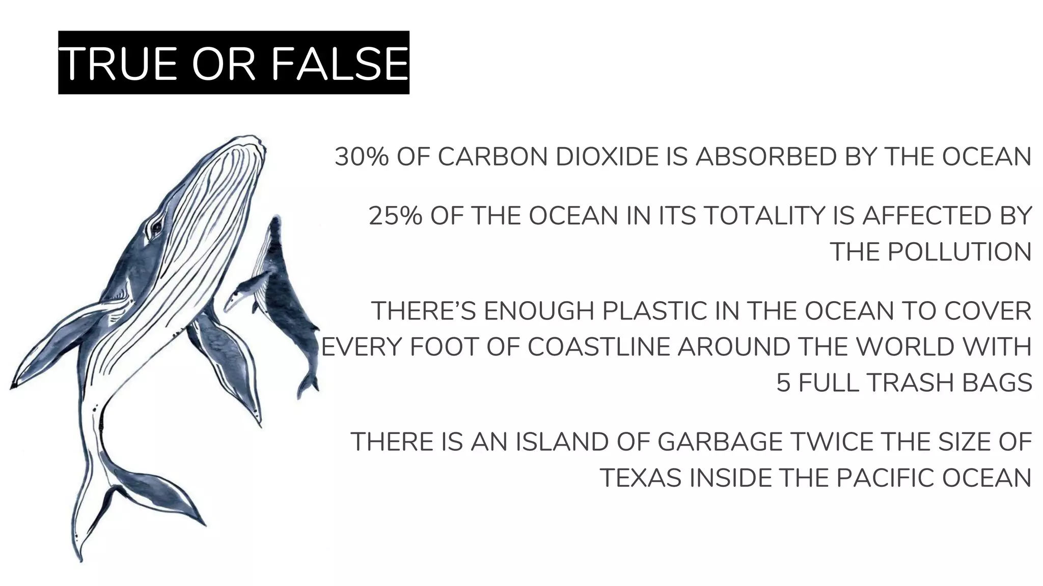 Life below water - presentation | PDF