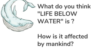 Life below water - presentation | PDF