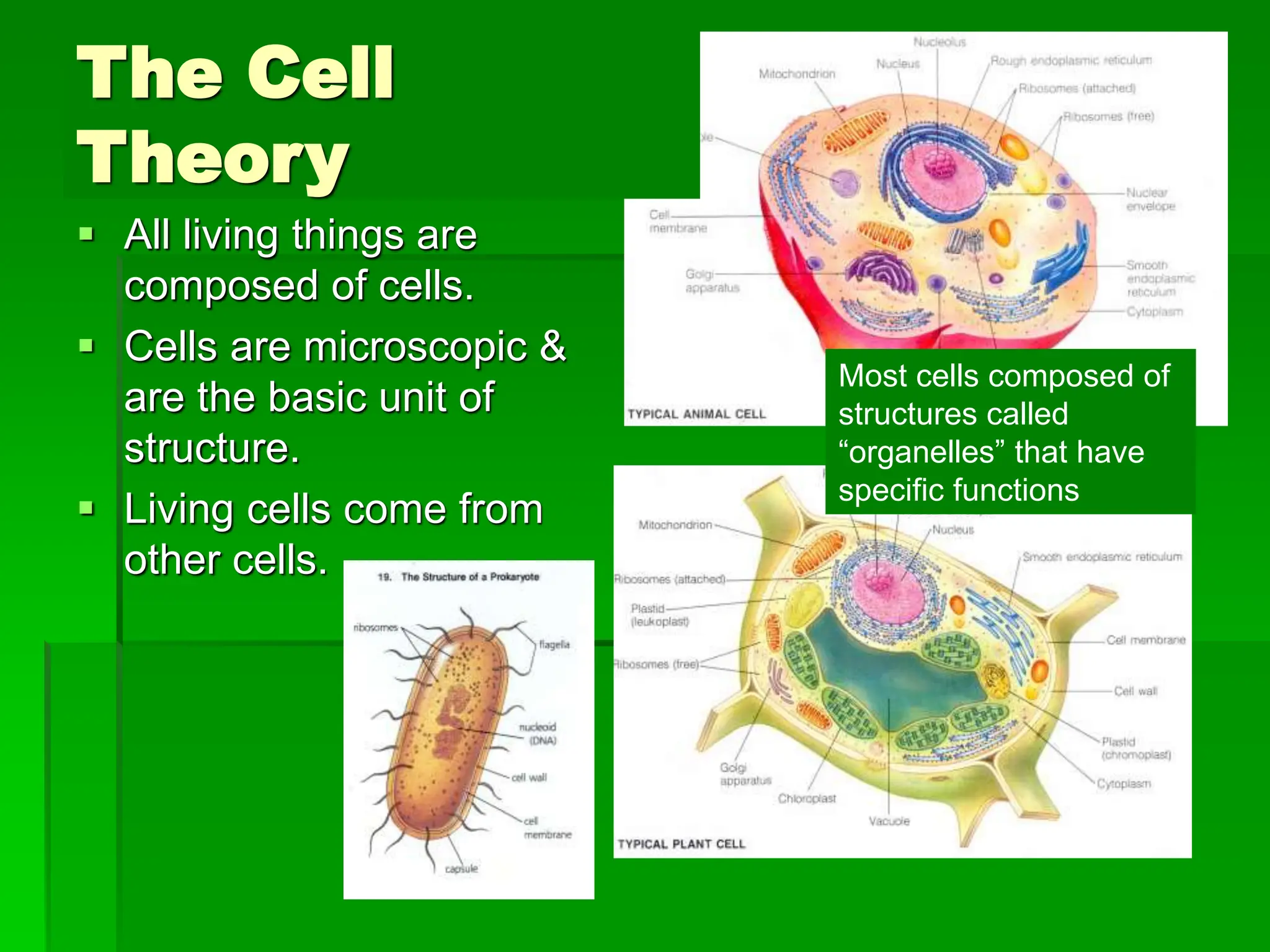 life_science_introduction_chap_1_part1.ppt life_science_introduction_chap_1_part1.ppt
