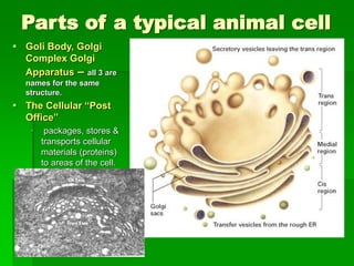 life_science_introduction_chap_1_part1.ppt