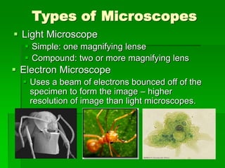 life_science_introduction_chap_1_part1.ppt