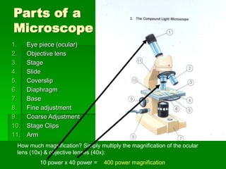 life_science_introduction_chap_1_part1.ppt