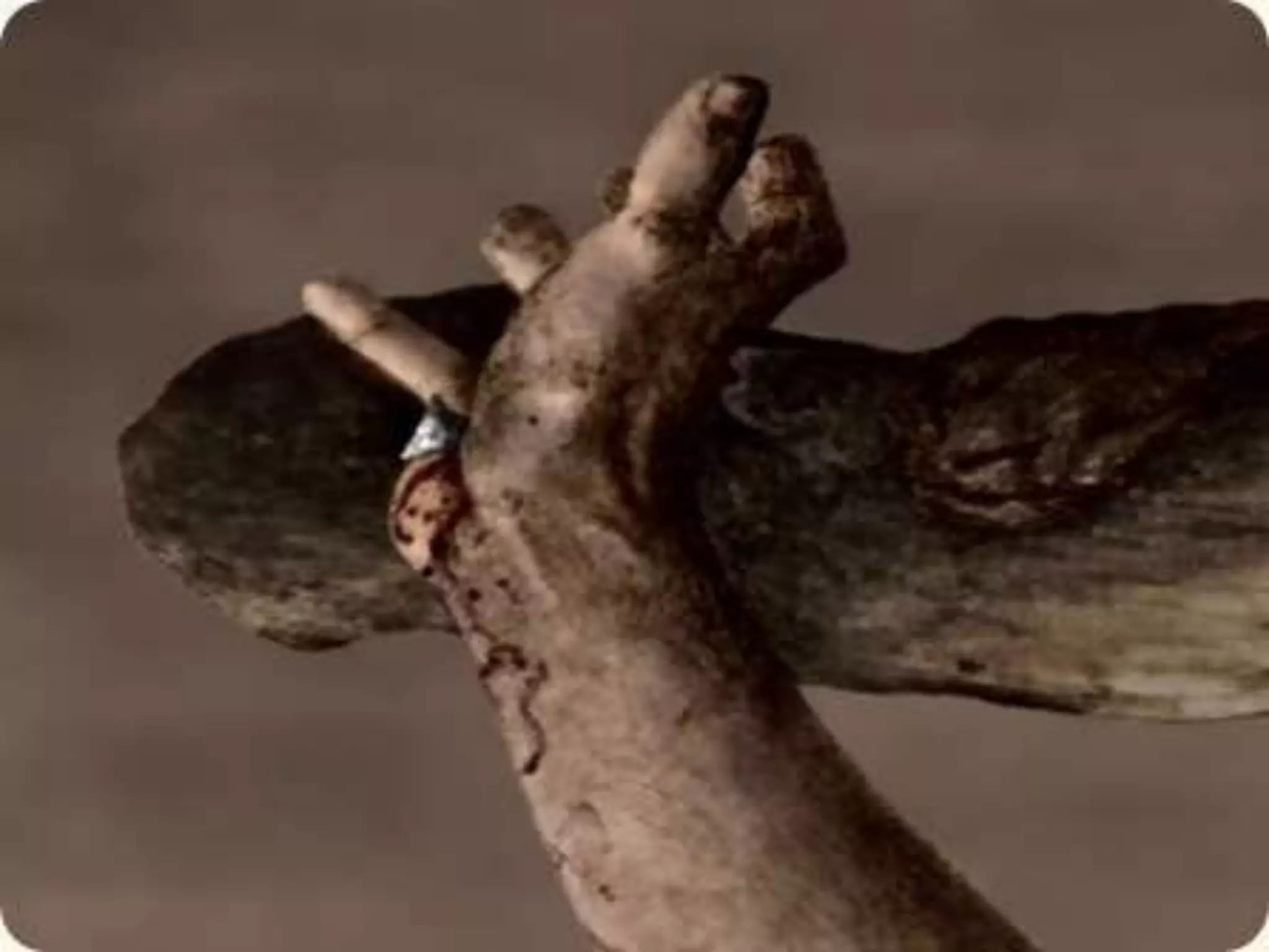 Life class week 2 | PPTX