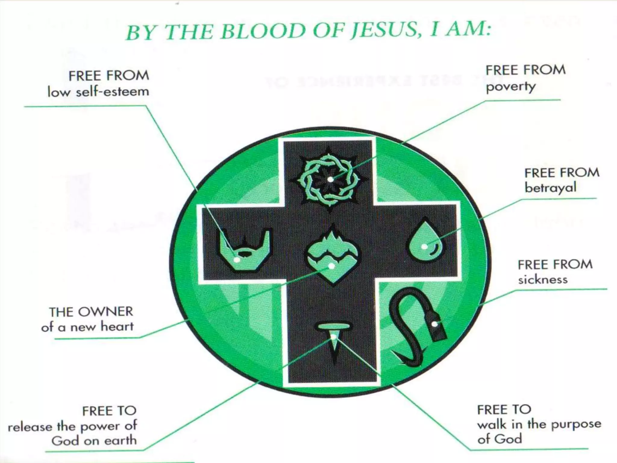 Lifeclass week 3 the best experience of your life | PPTX